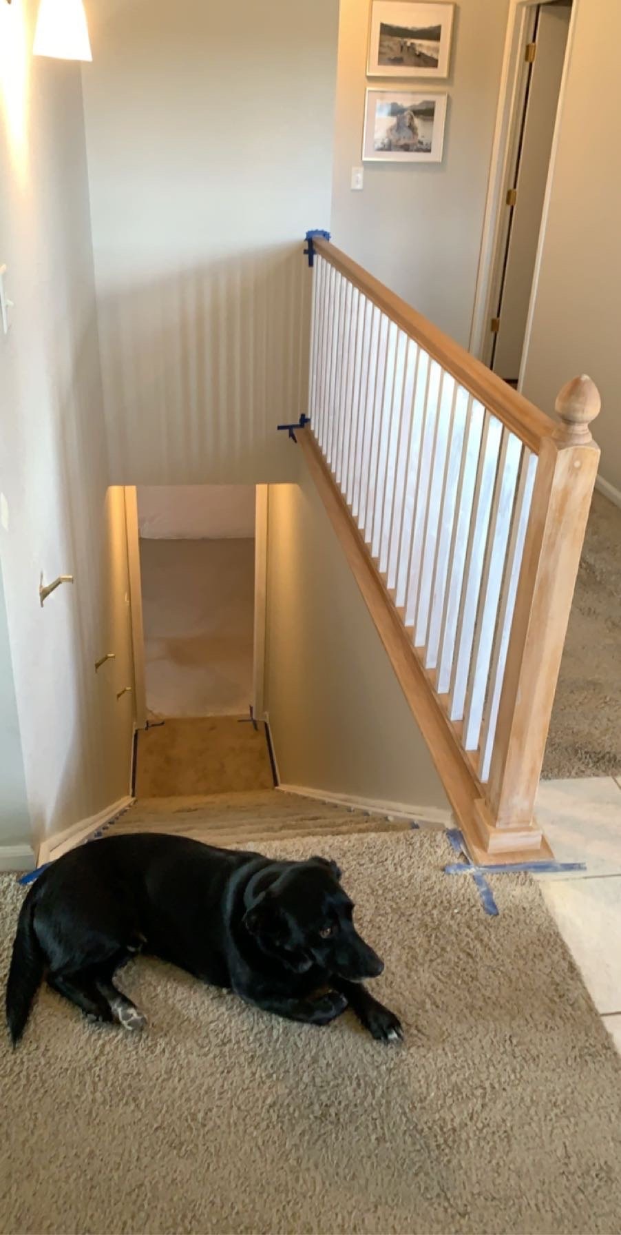 The Banister Project! – Blue Eye Verified