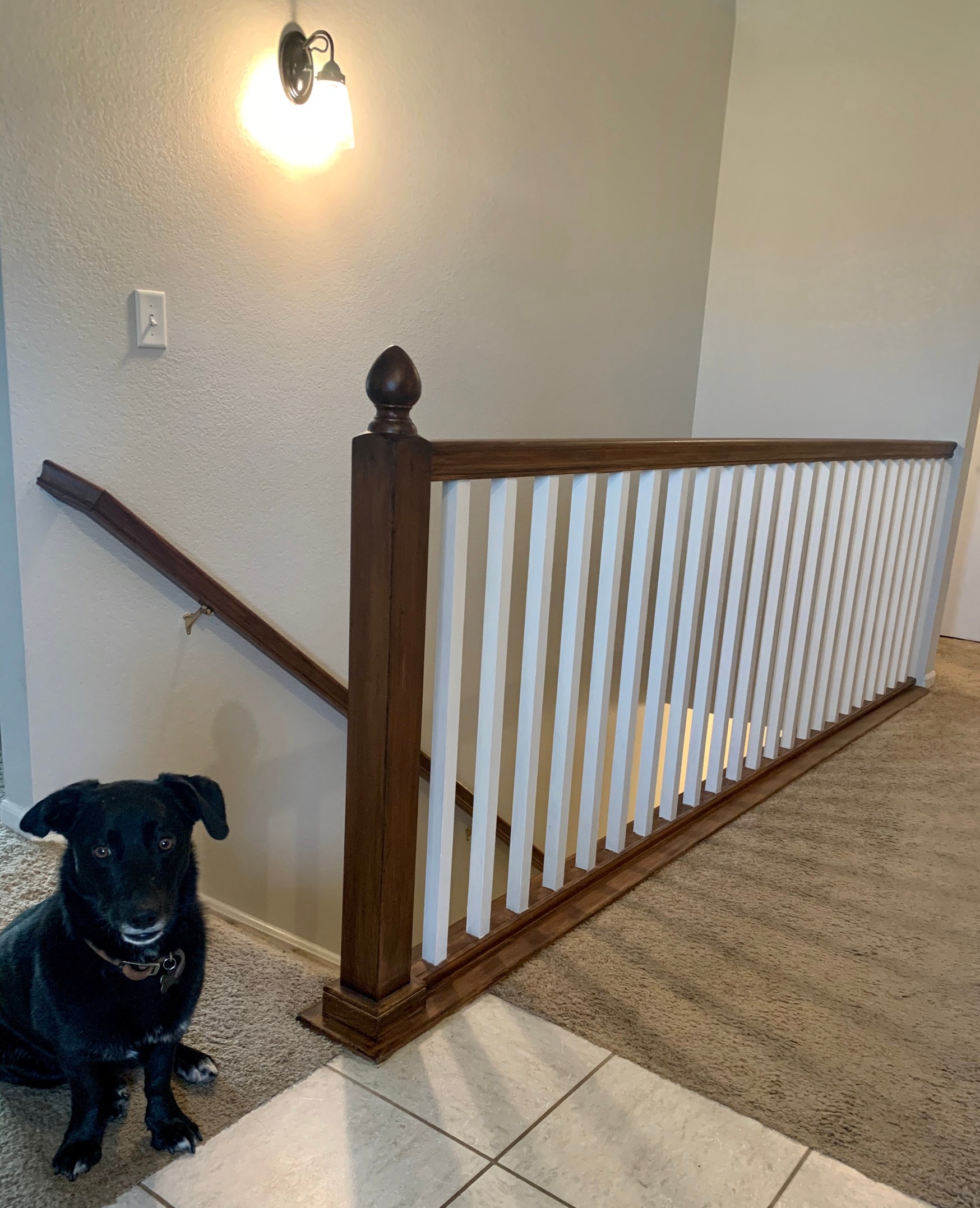 The Banister Project! – Blue Eye Verified